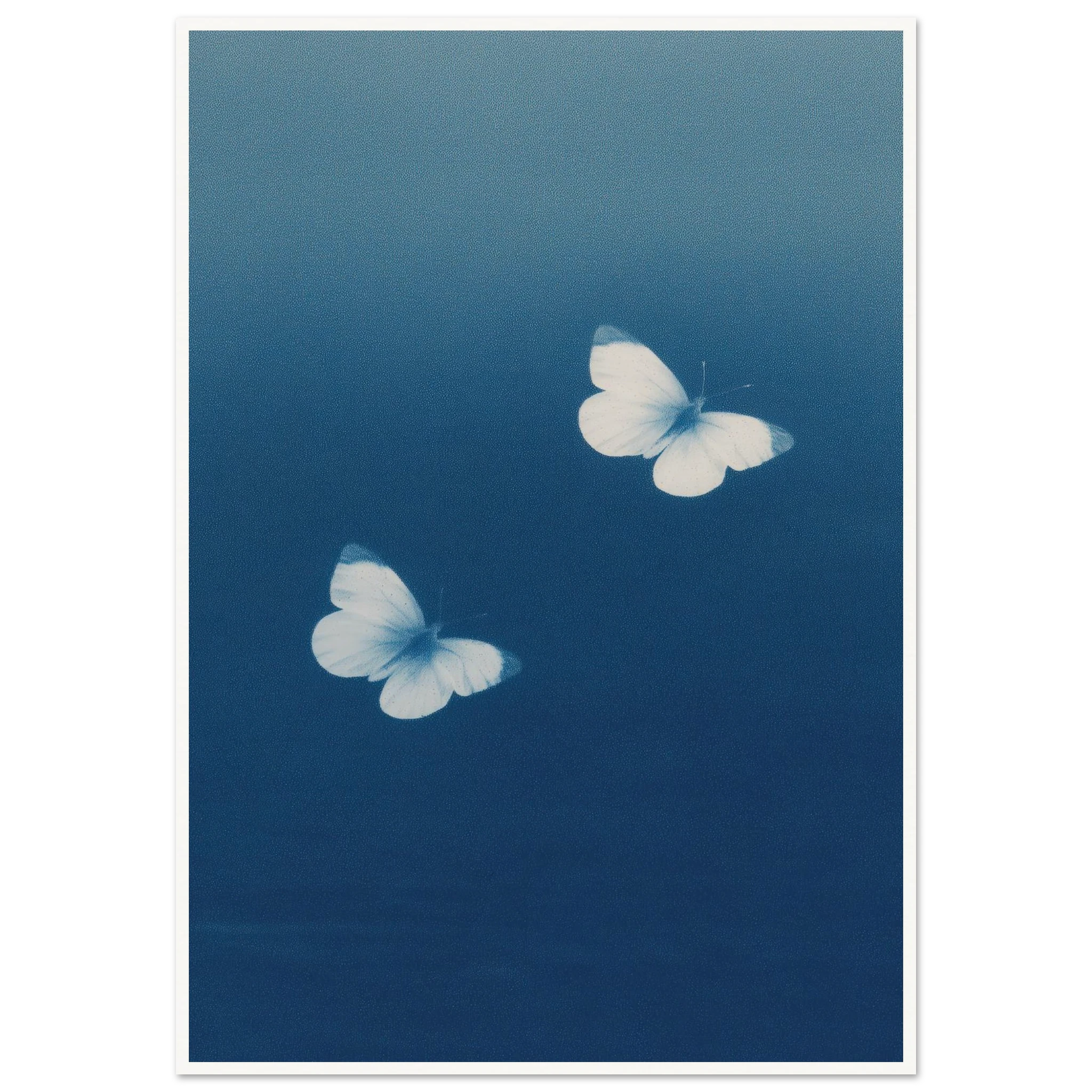 Blue Mirror Flight – Quipham Collections